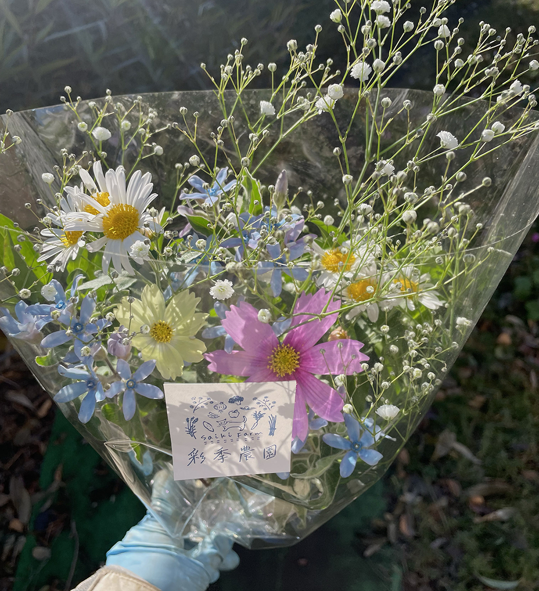 野菜・ハーブ・花の楽しみ方一覧に戻る